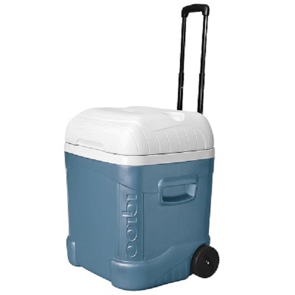 Cooler Igloo Max Cold 70 QT Ic… | Shopping do Inter